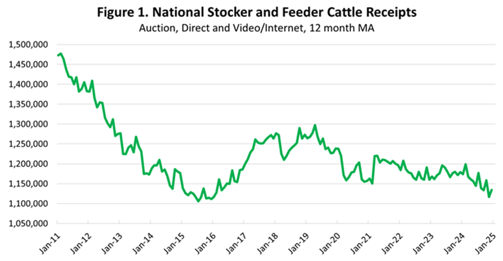 Cattle and Beef Markets Charge into 2025 Cattle Range