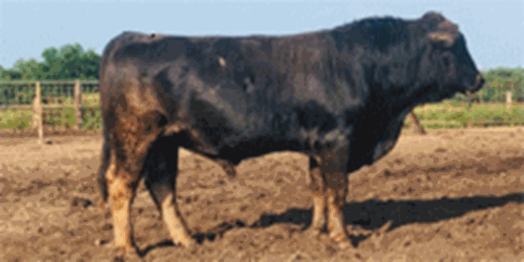 Listings Cattle Range