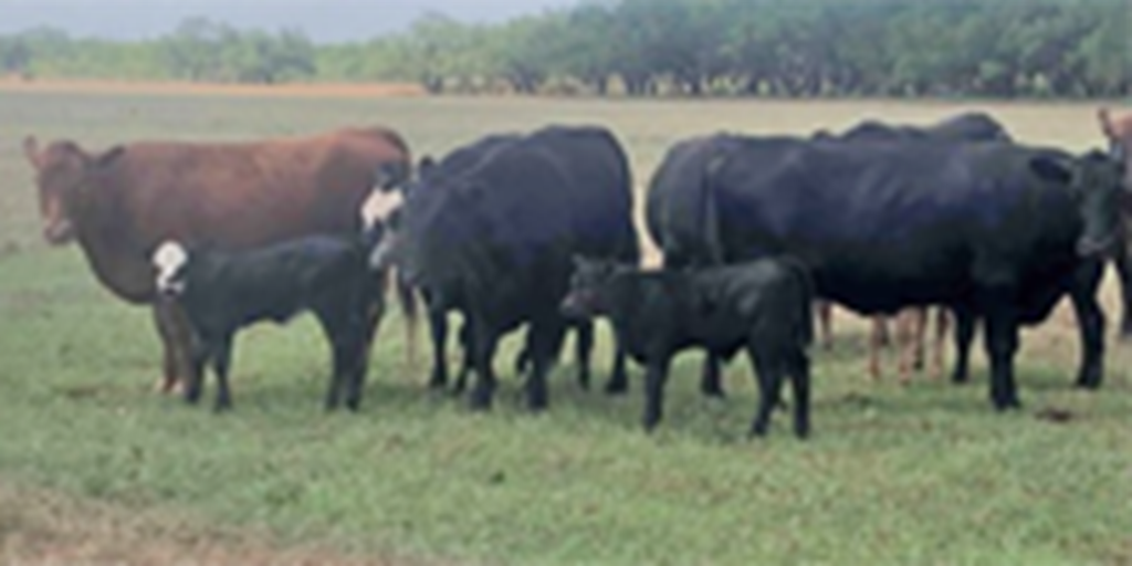 Listings Cattle Range