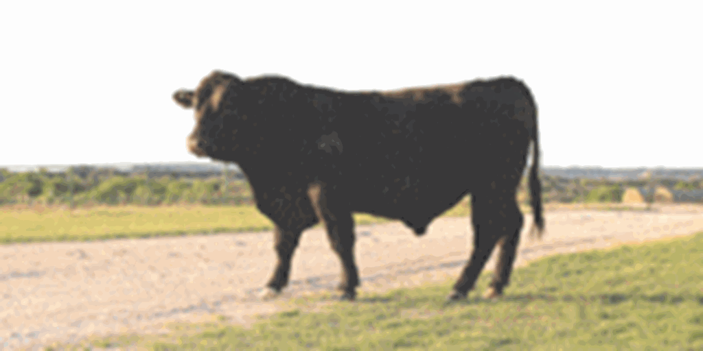 Listings Cattle Range