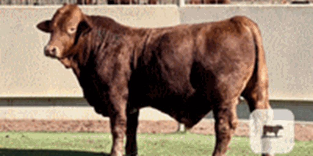 Listings Cattle Range