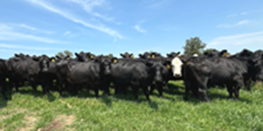 Listings Cattle Range