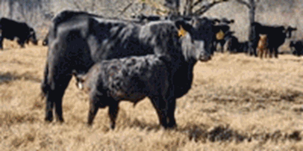 Listings Cattle Range