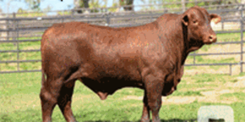 Listings Cattle Range