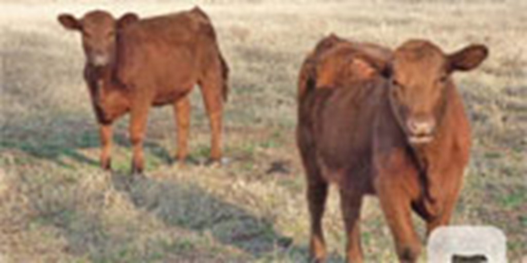 Listings Cattle Range