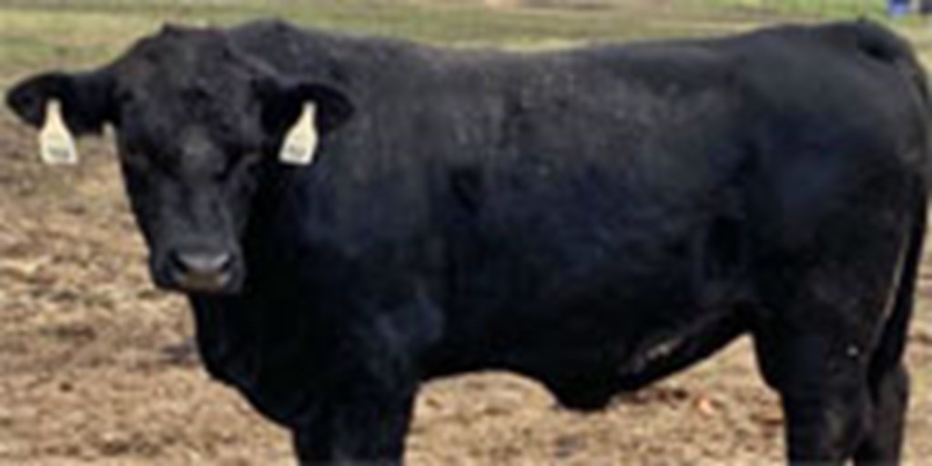 Listings Cattle Range