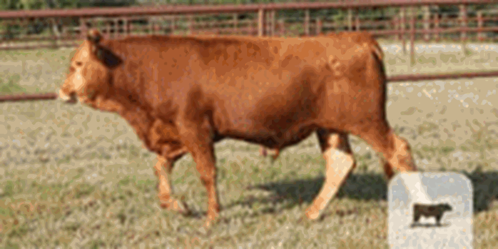 Listings Cattle Range