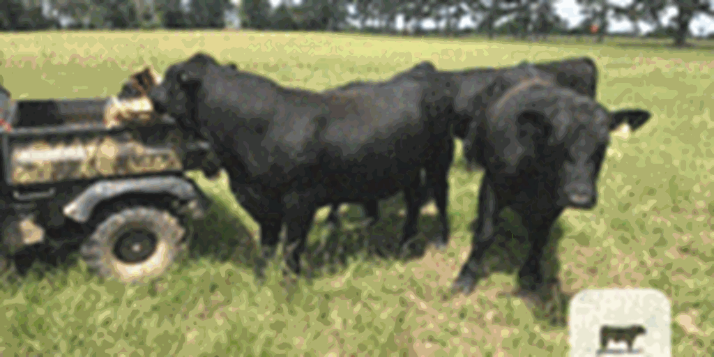Listings Cattle Range