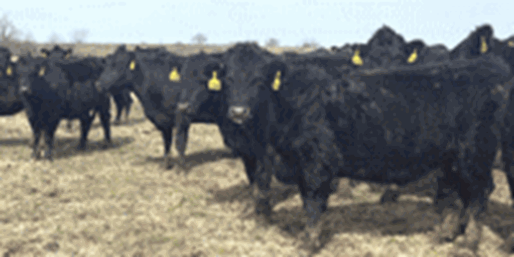 Listings Cattle Range