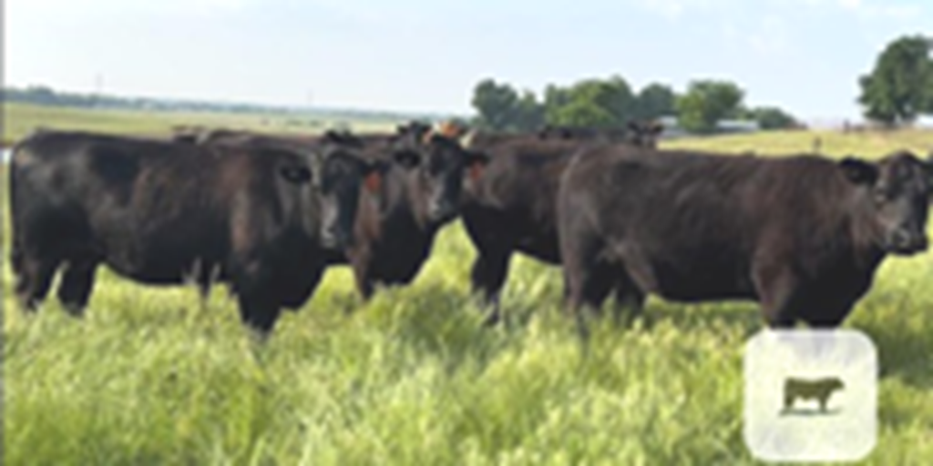 Listings Cattle Range