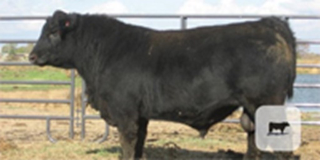 Listings Cattle Range