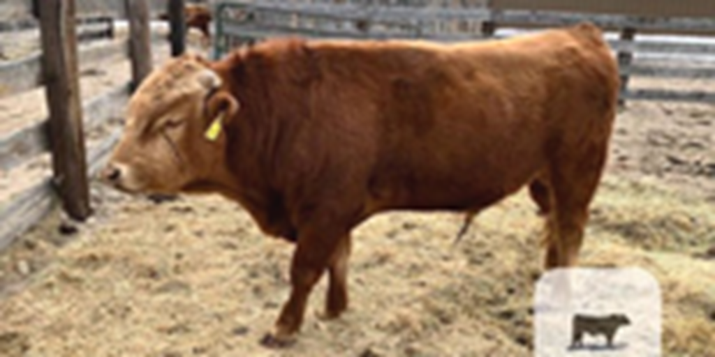 Listings Cattle Range