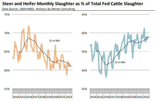 Female Cattle Slaughter Responsible for Unexpected Increased Beef ...