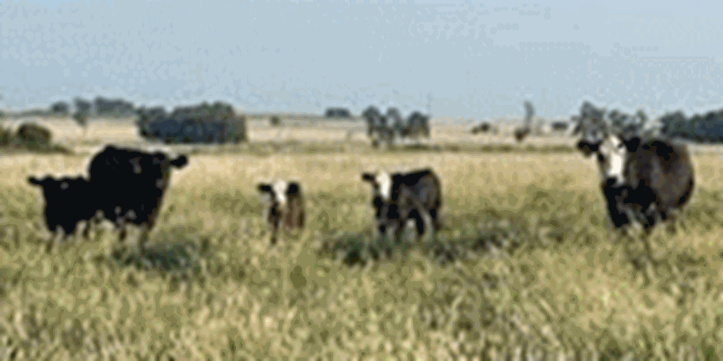 Listings Cattle Range