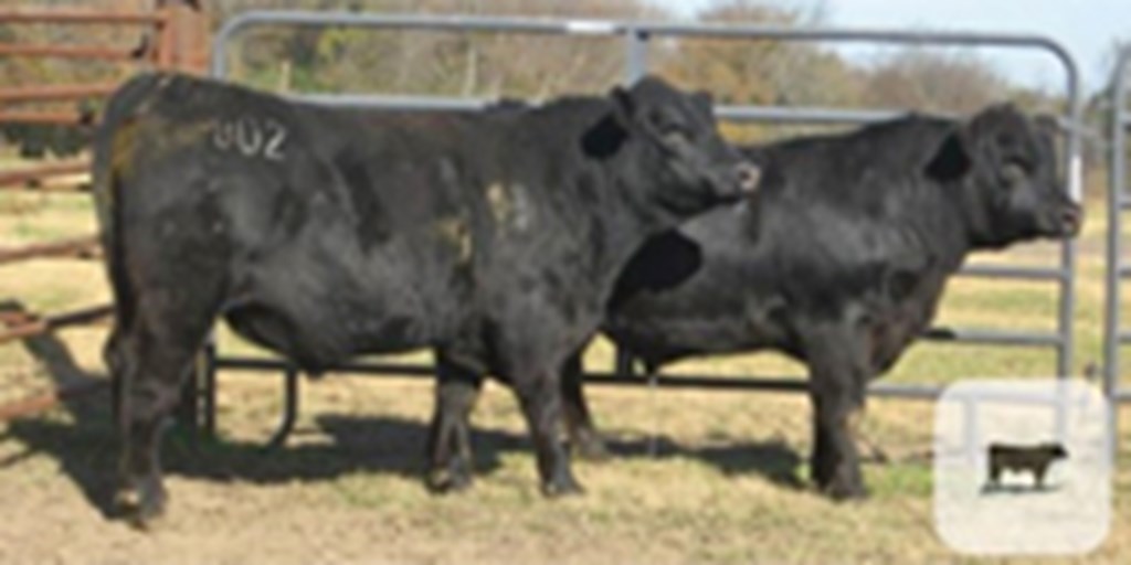 Listings Cattle Range