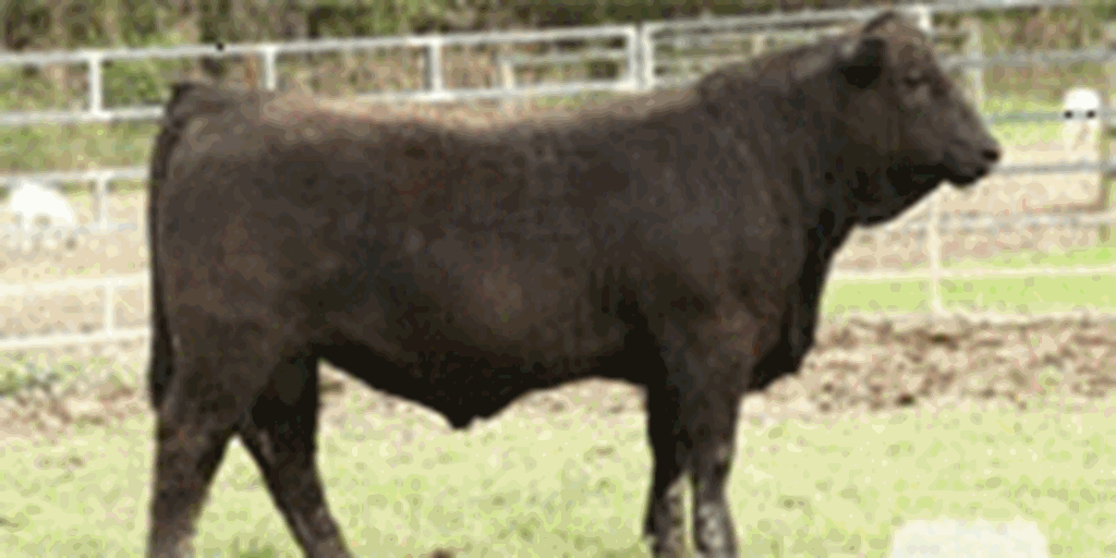 Listings Cattle Range