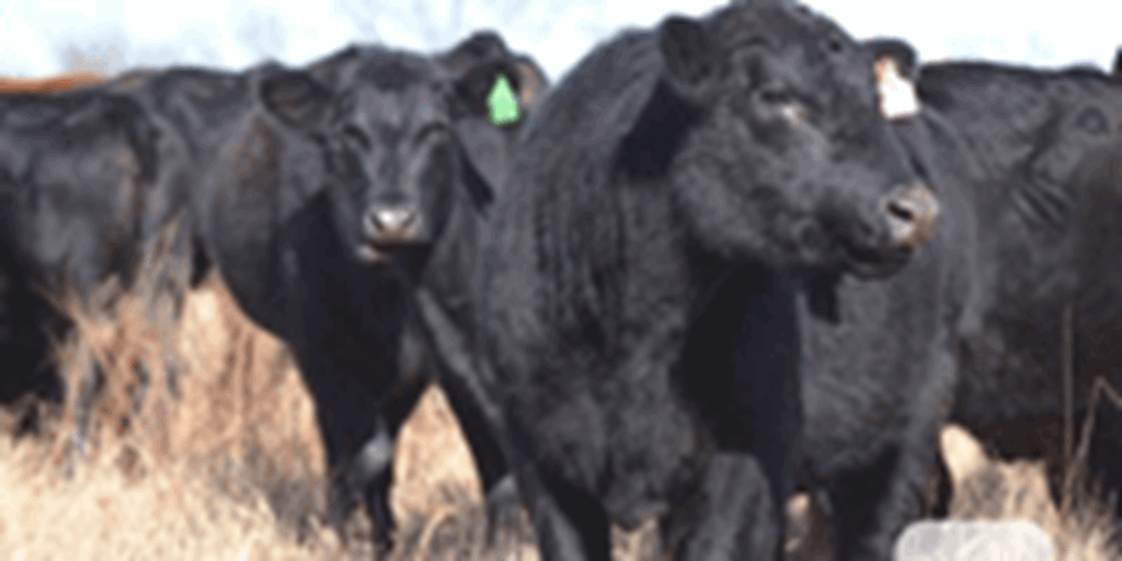 Listings Cattle Range