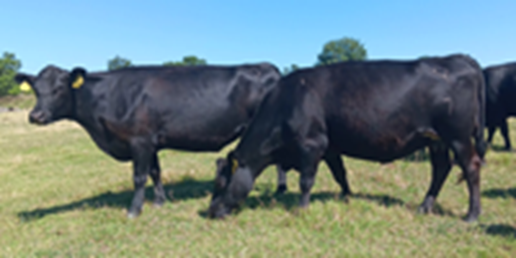 Listings Cattle Range