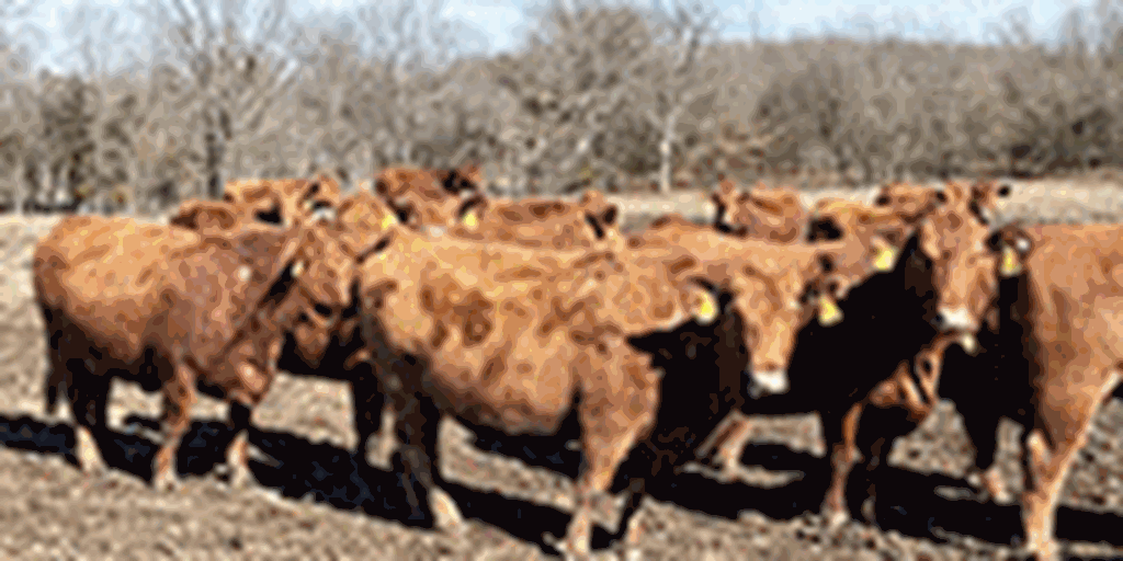 Listings Cattle Range