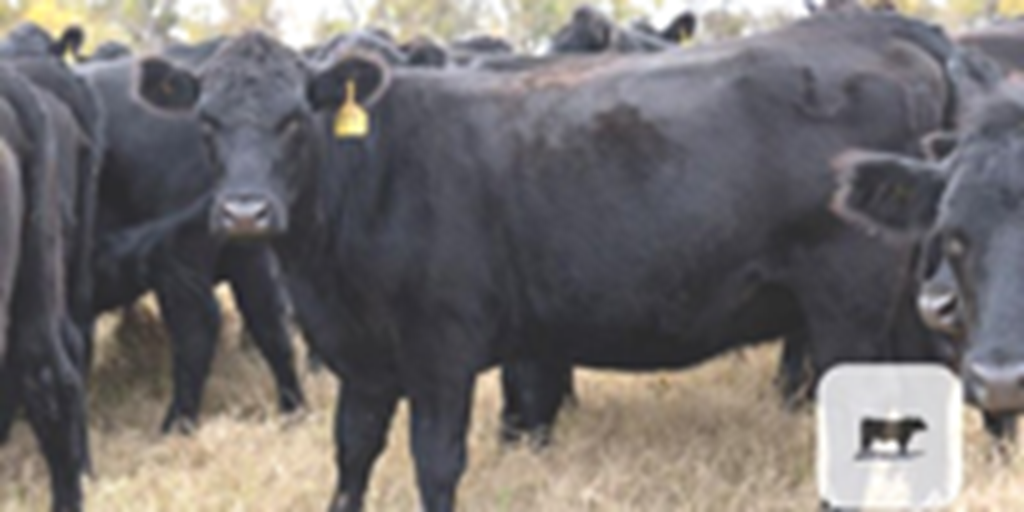 Listings Cattle Range