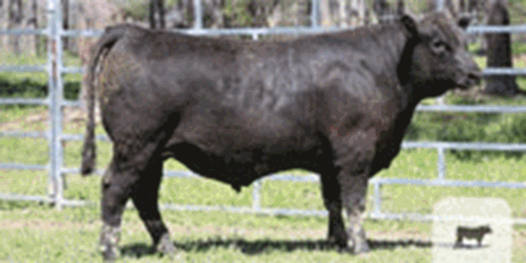 Listings Cattle Range