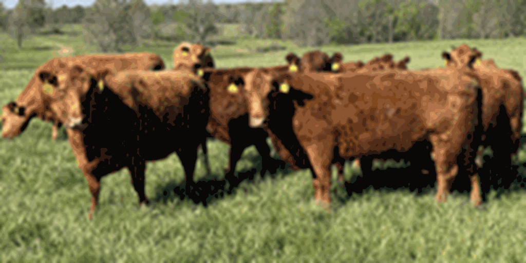 Listings Cattle Range