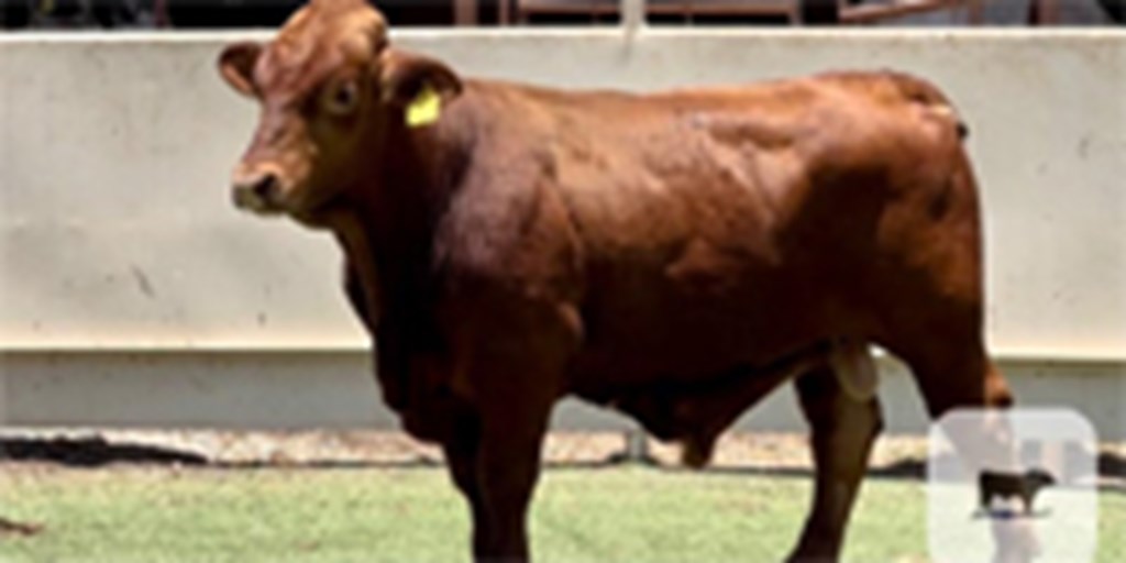 Listings Cattle Range