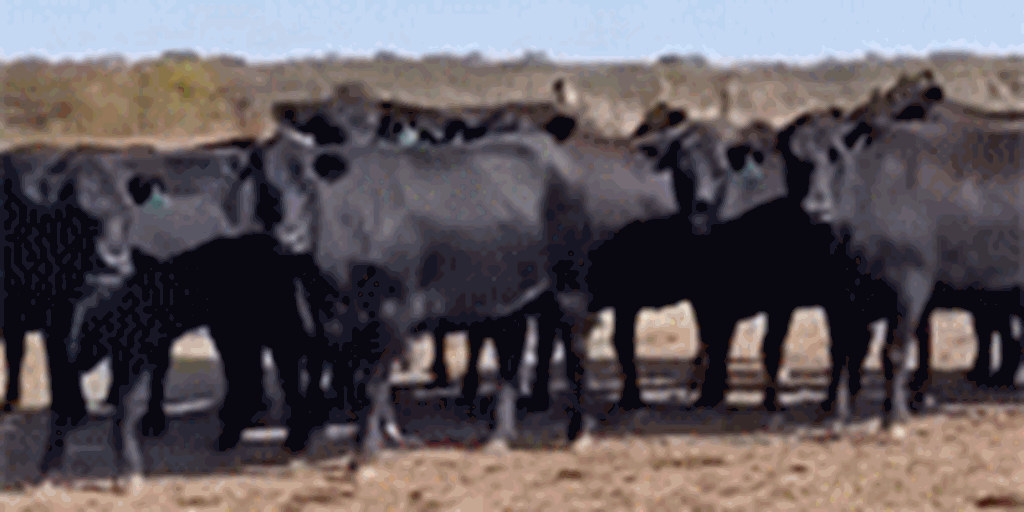 Listings Cattle Range