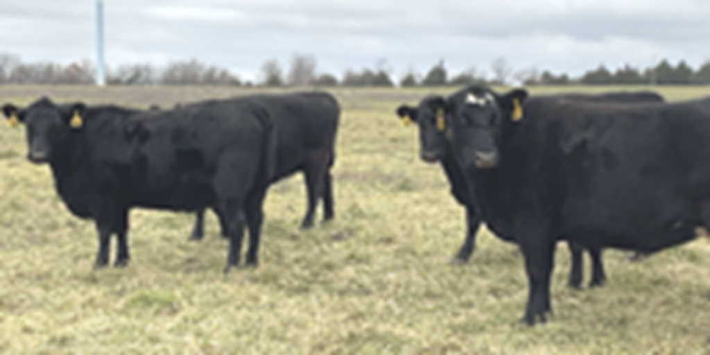 Listings Cattle Range