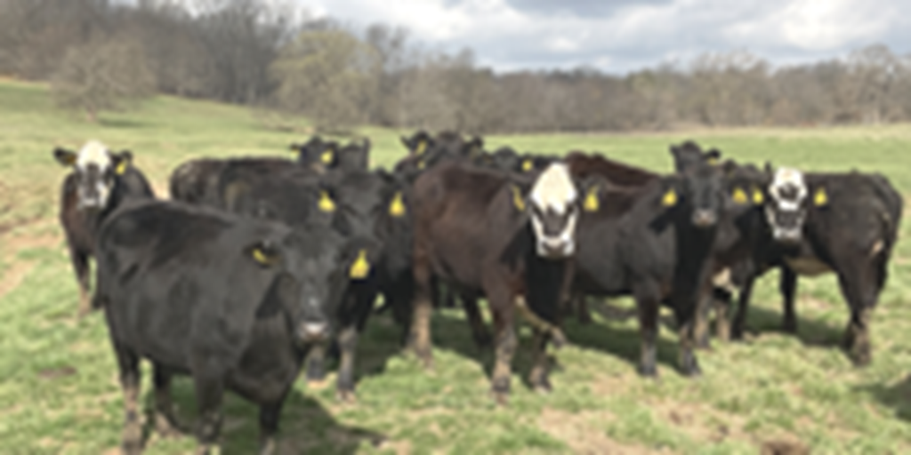 Listings Cattle Range