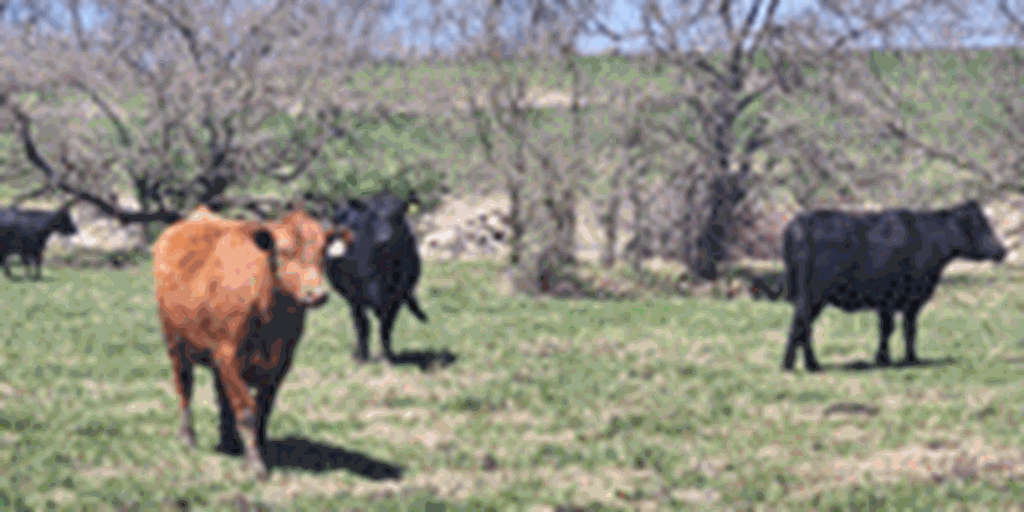 Listings Cattle Range