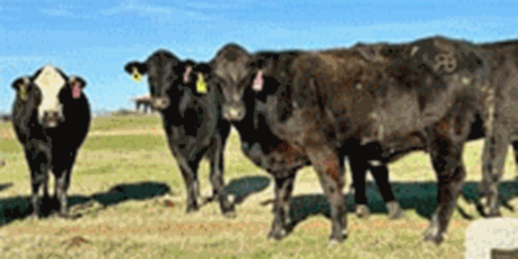 Listings Cattle Range