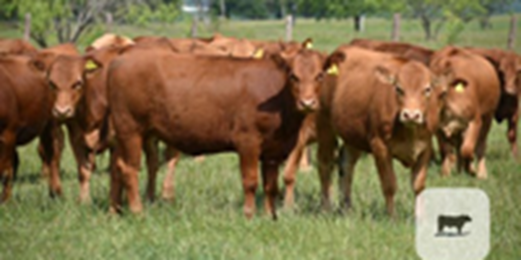 Listings Cattle Range