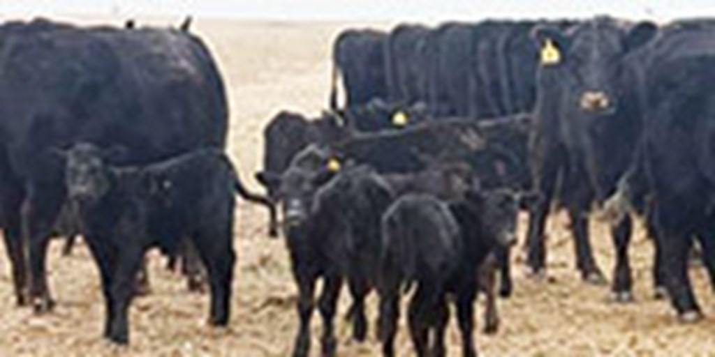 Listings Cattle Range