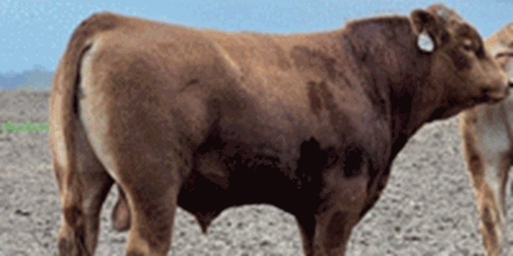 Listings Cattle Range