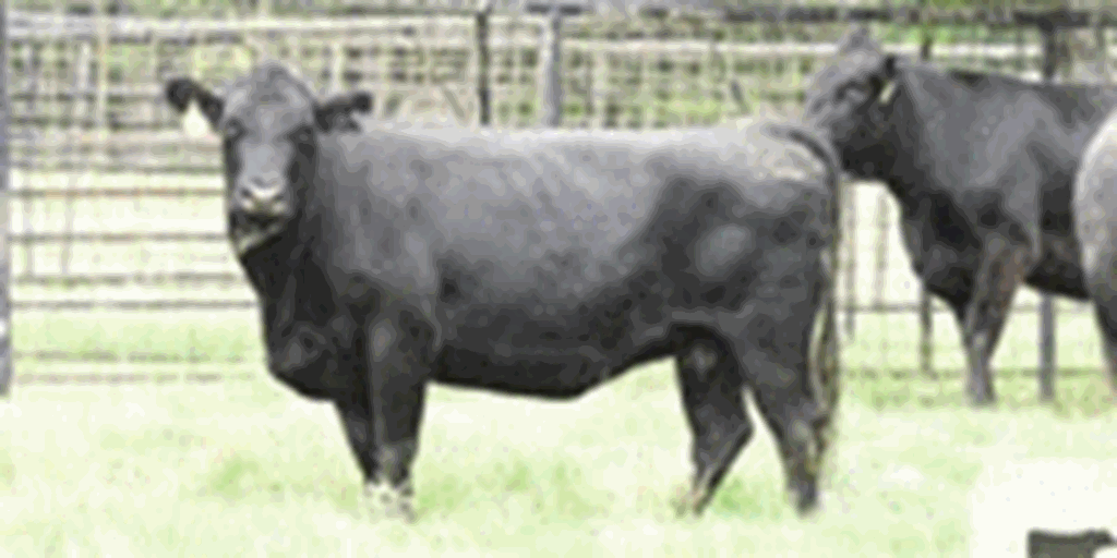 Listings Cattle Range
