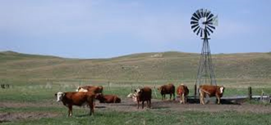 Pasture & Range Conditions as of July 14, 2024 Cattle Range
