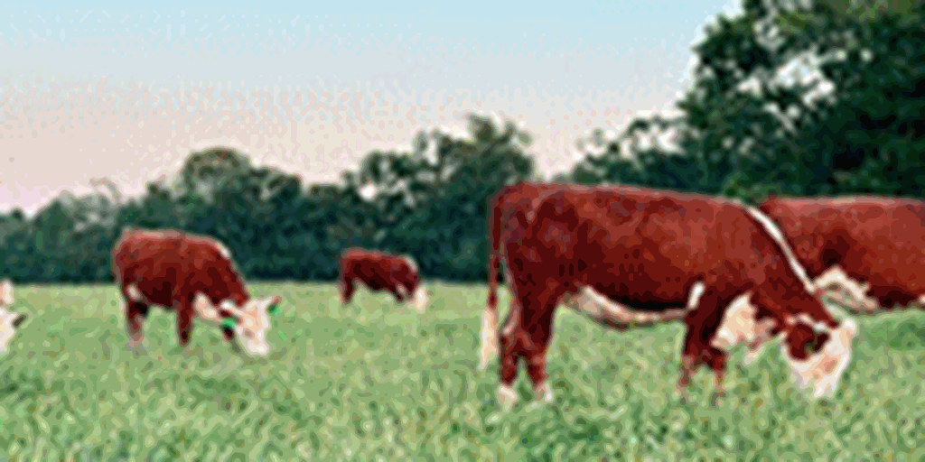 Listings Cattle Range