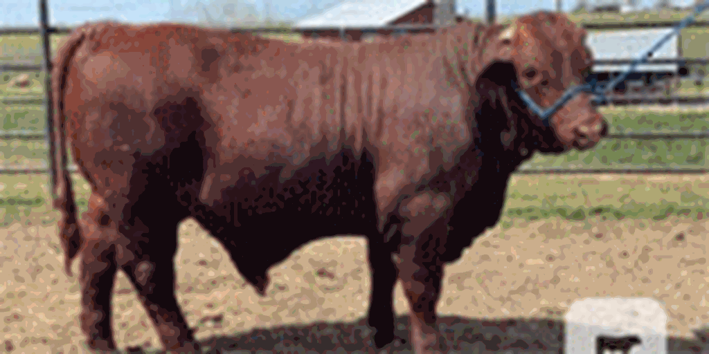 Listings Cattle Range