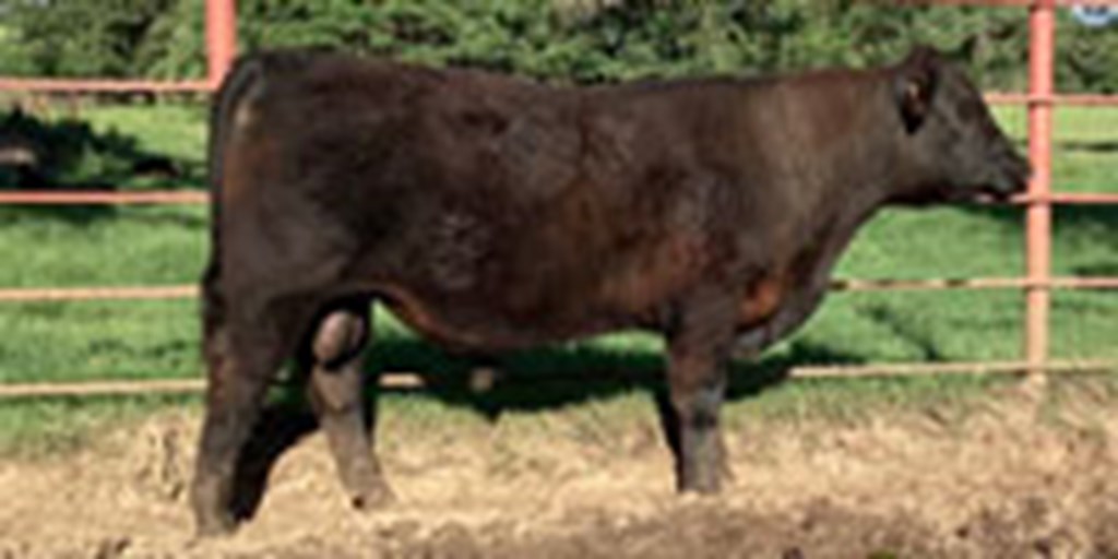 Listings Cattle Range