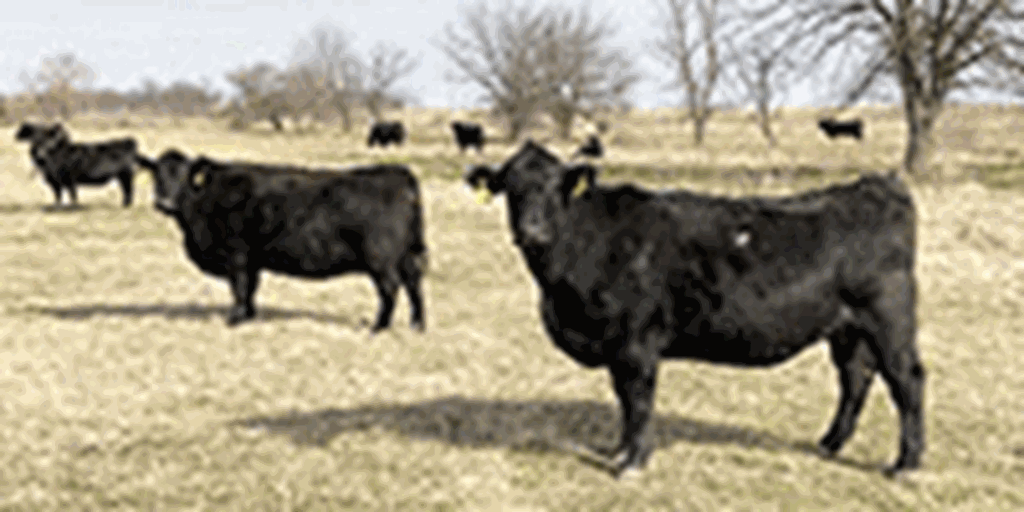Listings Cattle Range