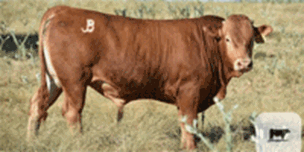 Listings Cattle Range
