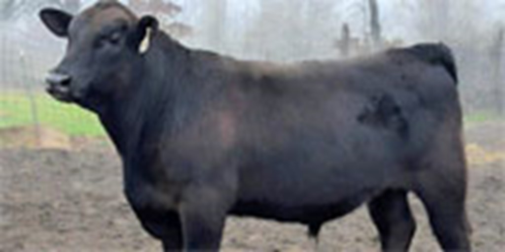 Listings Cattle Range