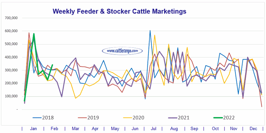 Weekly Feeder And Stocker Cattle Marketings For Week Ending 02 12 22