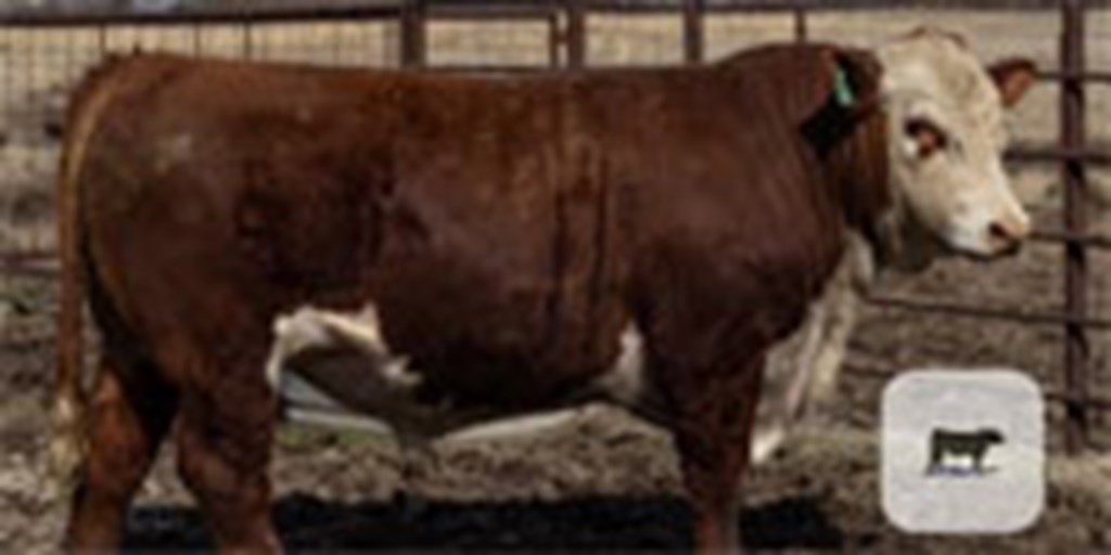 Listings Cattle Range