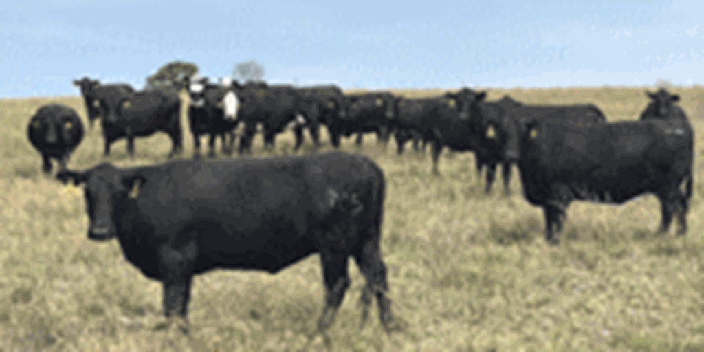 Listings Cattle Range