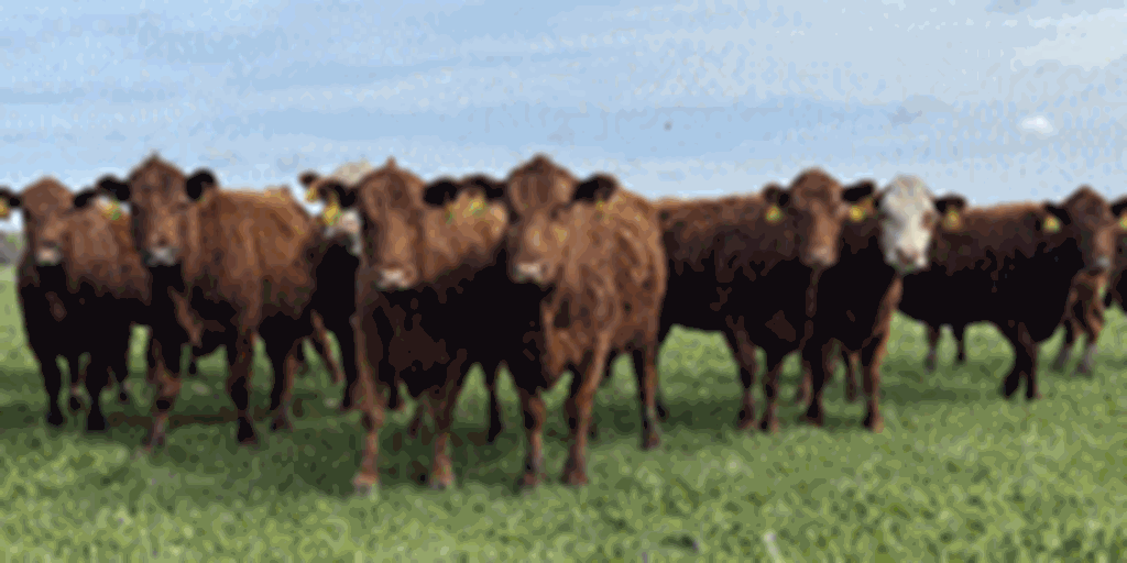 Listings Cattle Range