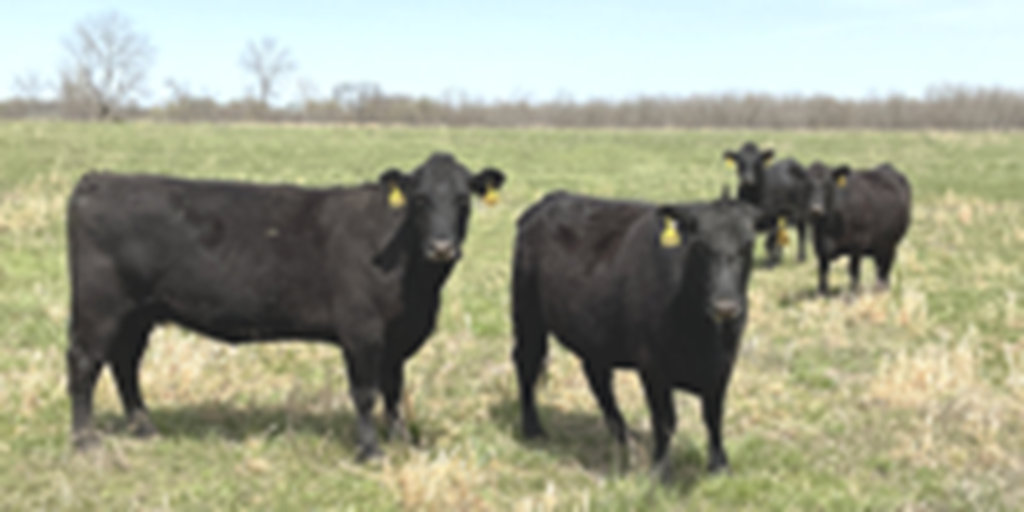 Listings Cattle Range