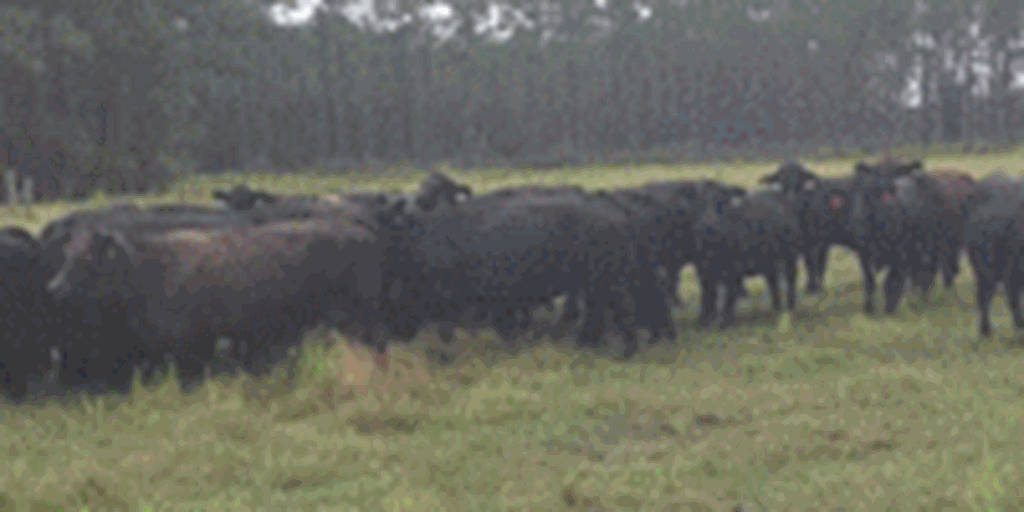 Listings Cattle Range