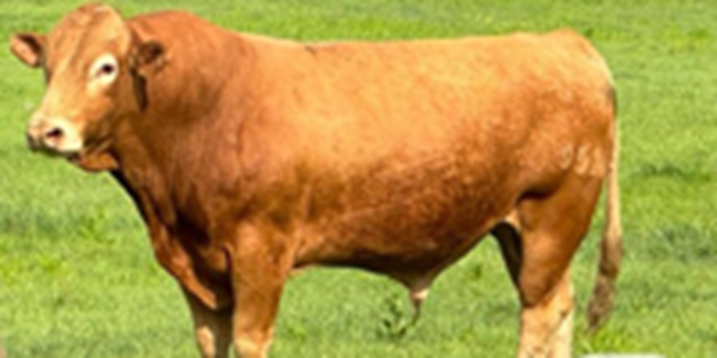 Listings Cattle Range